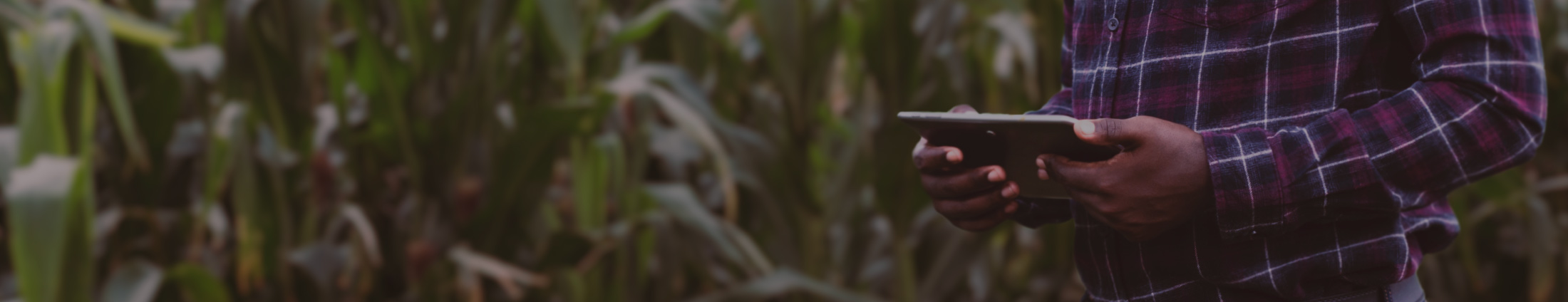 Solutions - Adagin Technologies