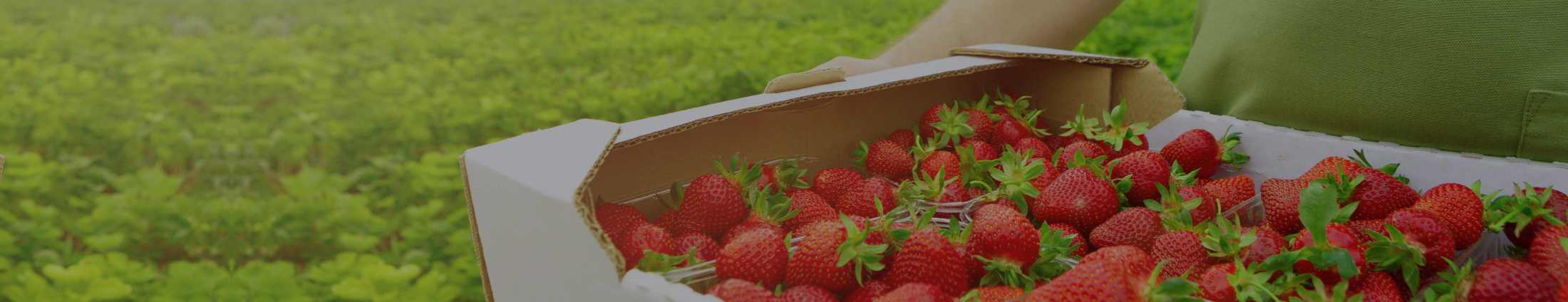 News & Testimonials - Adagin Technologies