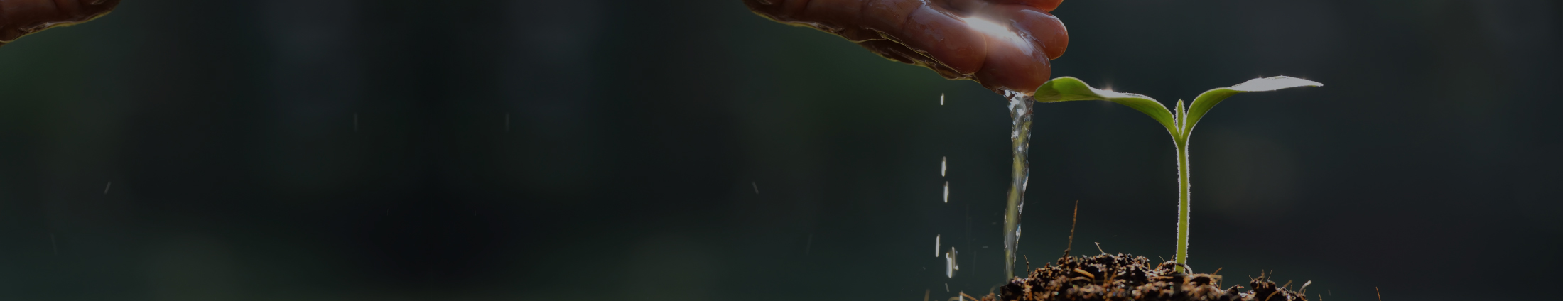 Timeline - Adagin Technologies