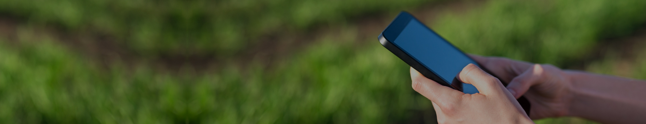 Contact - Adagin Technologies