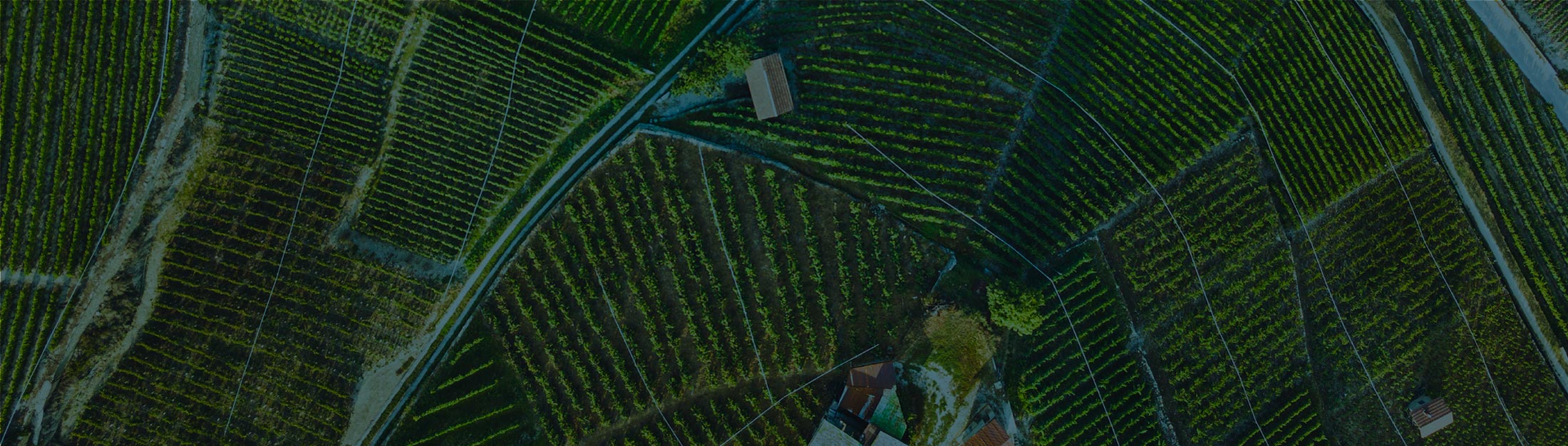 Home - Adagin Technologies